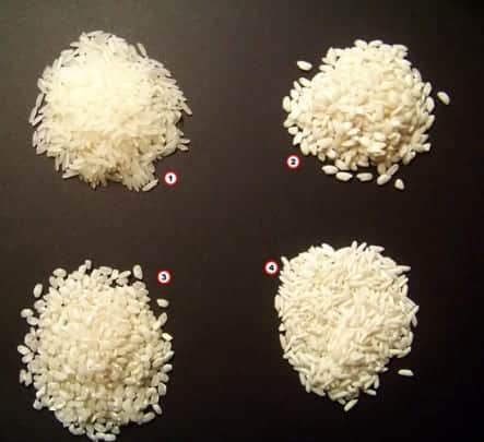 Comment cuire le riz