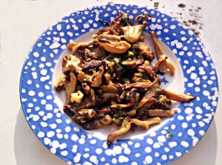 pleurotes sautés au Parmesan